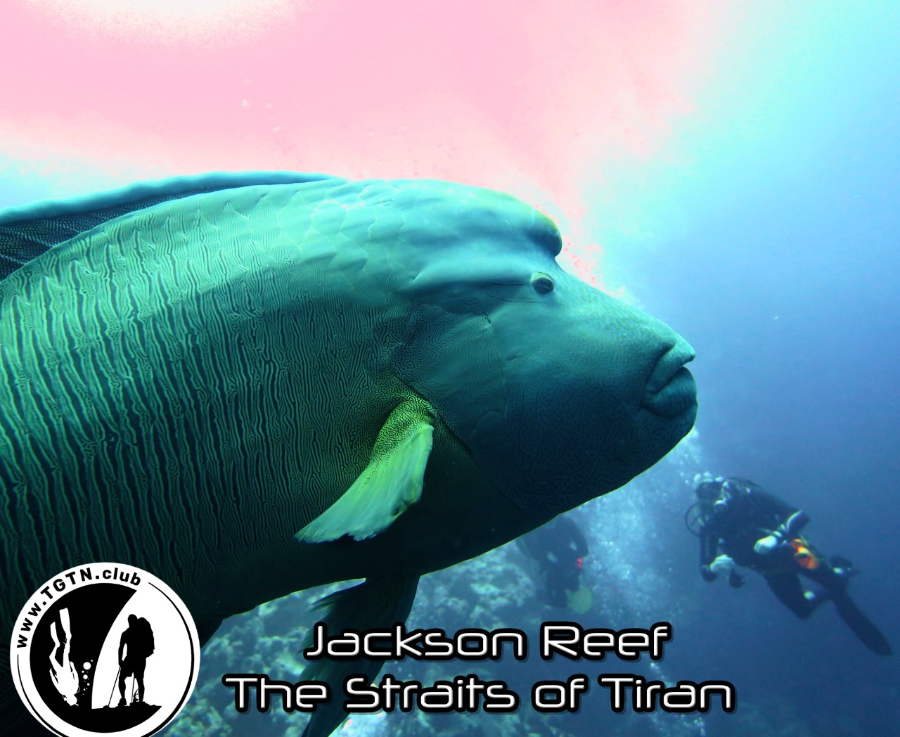 What do you know about the straits of Tiran ? - The Gate Travel Network